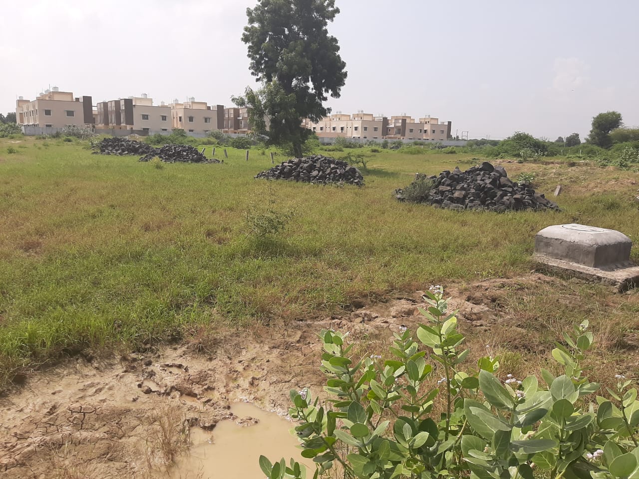 Sanand Project | Our Homes in India | Reall